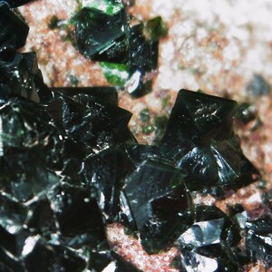 Authentic K-T Boundary kpg Boundary Sediment Layers - Etsy