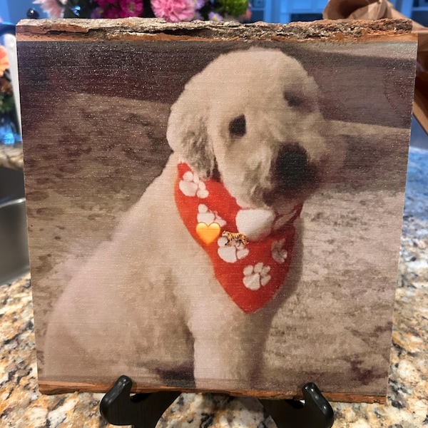 The Ten Commandments Sign Bible Verse Wood Sign Scripture Wood Framed ...