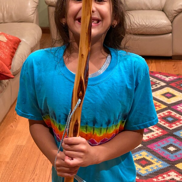 Walking Stick With Handle, Diamond Willow Wood, Rope Hand Grip N ...