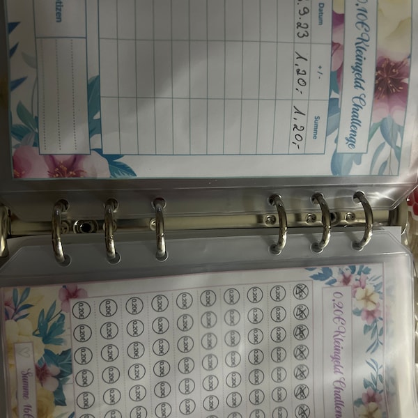 114 Sparchallenges inkl. Tracker | Passend für A6 Geldumschläge, A6 ...