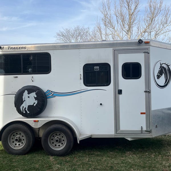 Mount Wilson Colorado 14er Magnet - High Quality, Durable, 14er ...