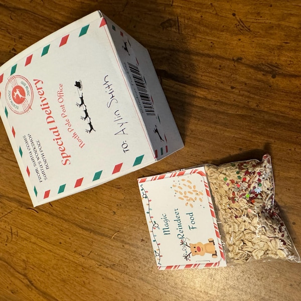 Santa Cam, Elf Cam, WITH PERSONALIZATION Surveillance Camera, Santa Spy ...