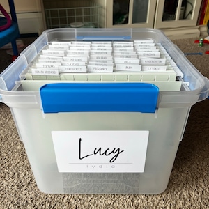 Printable Milestone Tote Labels School File Folder Labels - Etsy