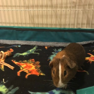 South Park Craig Hat | Etsy