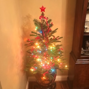 Mini Glittered Ruby Red Star Tree Topper 2.75