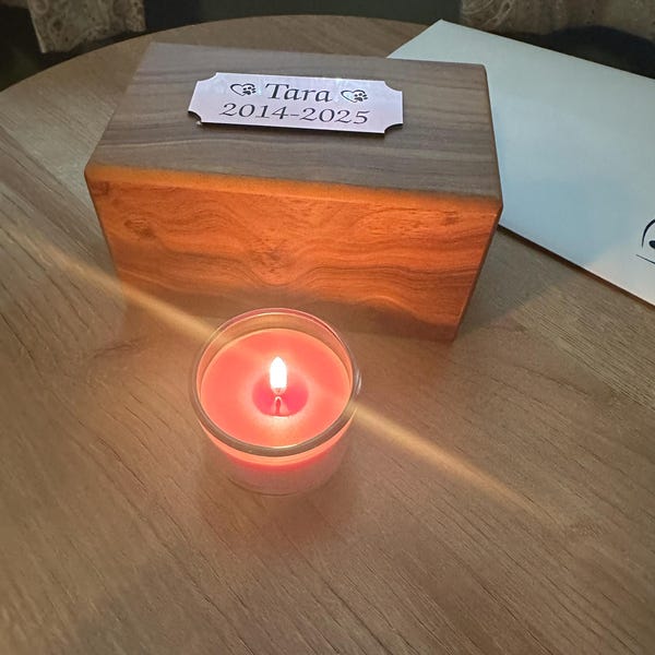 Push Button for Assistance 1x3 Custom Engraved Plaque Plate Sign W ...