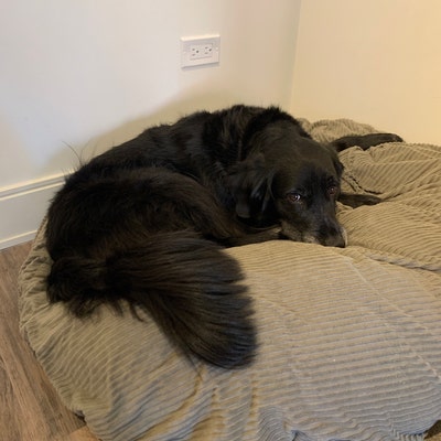 Greek Key Roman Shade 30 Linen Color Options 13 Greek Key Colors 3 ...