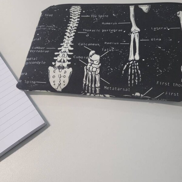 Anatomy Pencil Case, School Supplies, Skeleton Pencil Case, Back to ...