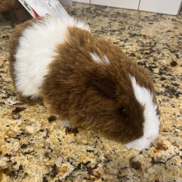 Custom Guinea Pig Stuffed Animal Pet Replica - Etsy