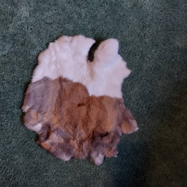 Lot of 4 Assorted Rabbit Hides as Shown Natural Rabbit Fur No. 180228 ...