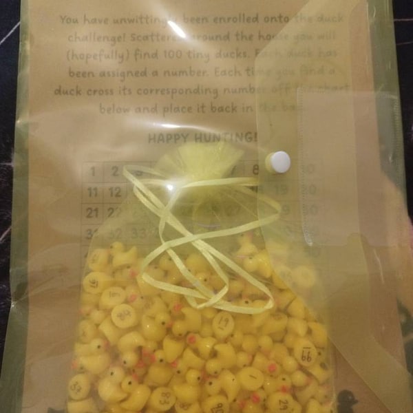 100 Duck Challenge Kit, Hide-a-duck Kit, Miniature Duck Scavenger Hunt ...