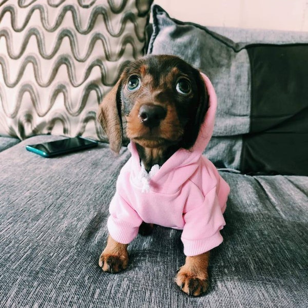 Pink Dog Hoodie - Baby Pink Dog Sweater - Pink Dog Jumper - Dog/puppy ...