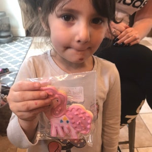 12 Accountant Hand Decorated Cookie | Etsy