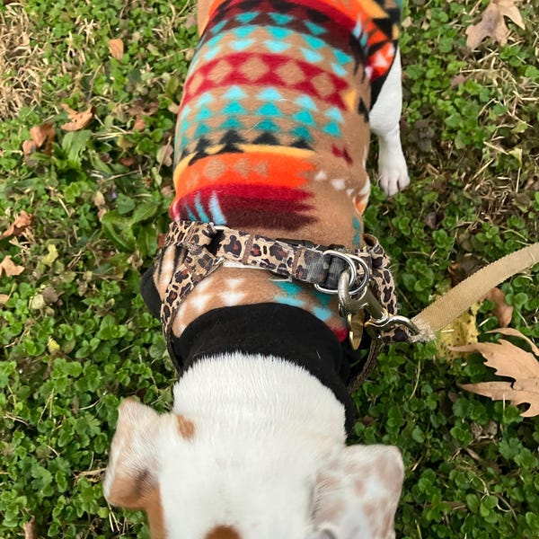 Southwestern Polar Fleece for Dogs. Navajo Style Sweatshirt.dog ...