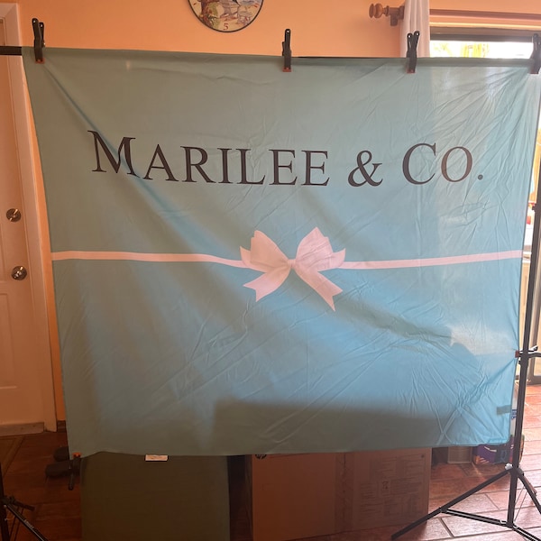 Blue Birthday Party Backdrop, Breakfast at Party Decorations, Robin Egg ...