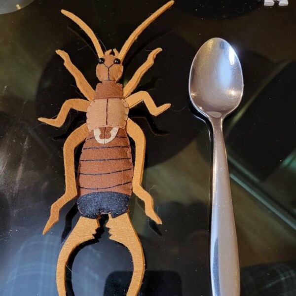 Felted Bug Toy Realistic Bugs Toys From Felt Realistic Earwig Felted ...