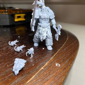 3D Printed Xenarid Flyers X10 by Stationforge Miniatures - Etsy