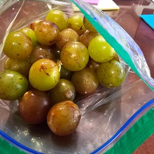 WHOLESALE BOX of Cut Red or Green Sugarcane - Etsy