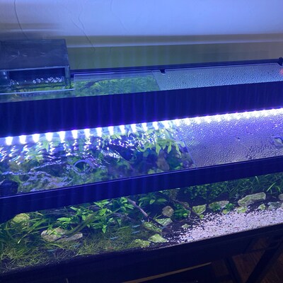20 Gallon Long Reversible Polycarbonate Aquarium Lid. Tank NOT Included ...