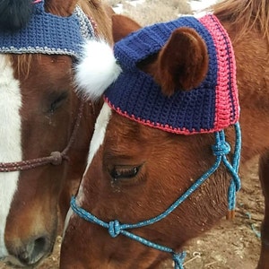 Crochet Horse Hat PATTERN ONLY - Etsy