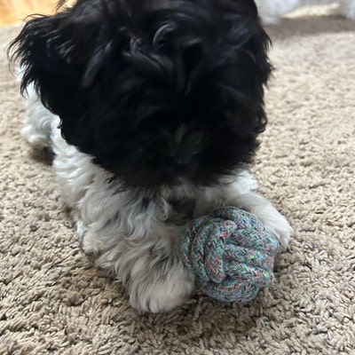 Black Spider Dog Rope Toy, Handmade Sustainable Dog Rope Toys, Toys for ...