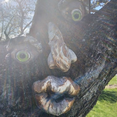 Forrest Stump Concrete Tree Face, Birthday Gifts, Gardeners Gift, Glass ...