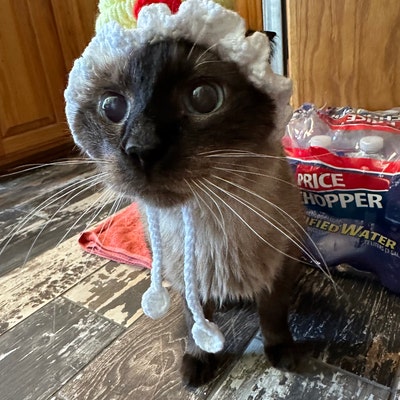 Pink Knitted Yarn Pig Hat for Cat or Small Animal new Design - Etsy