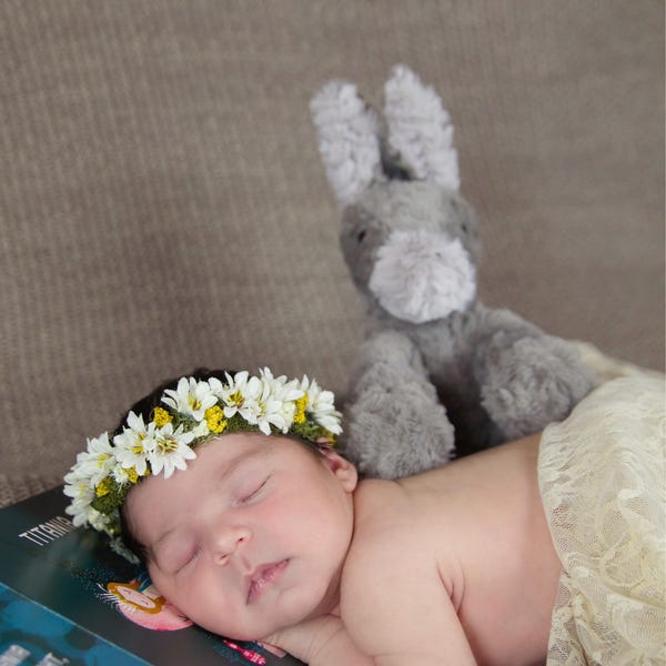 Daisy Moss Flower Crown for Newborn Photography Props Headband Tieback ...