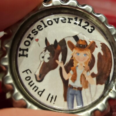 Geocache Containers Bison, Set of 3 Waterproof Micros With Key Ring Log ...