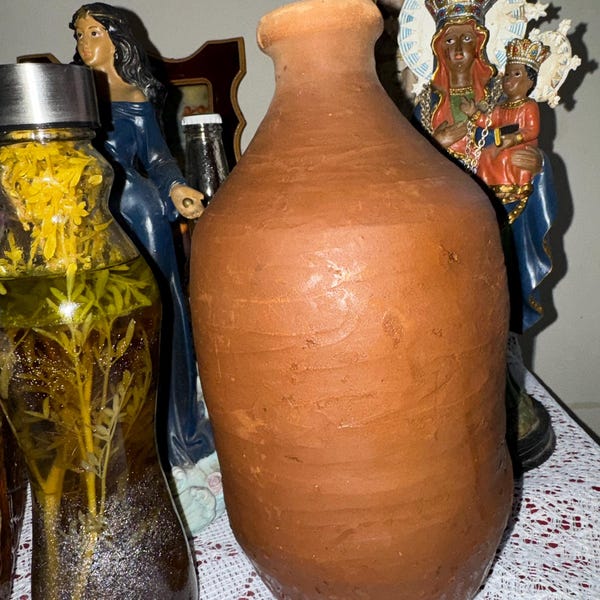 Large Rose of Jericho Resurrection Plant Rosa De Jerico Reviving House ...