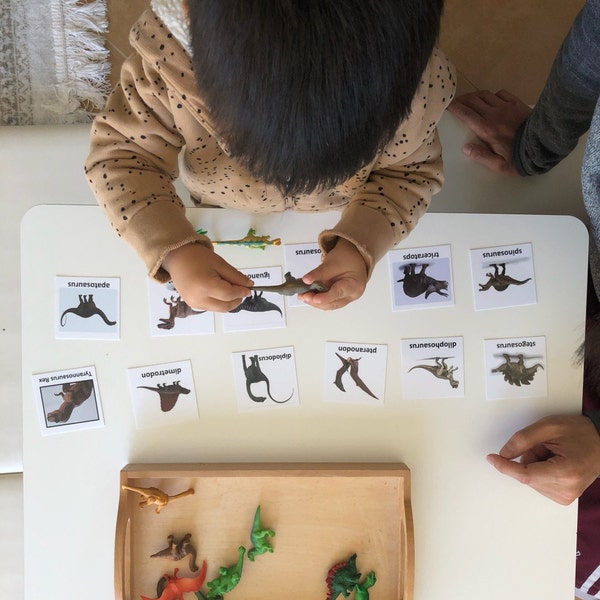 Montessori Safari Animal Match Miniature Animals With Matching Cards 2 ...