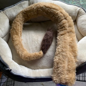 Otter Reference Sheet Base - Etsy