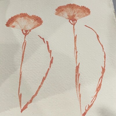 Watercolour Flower Painting Brush Set Blooms Paintbrush Bundle Pro Arte ...