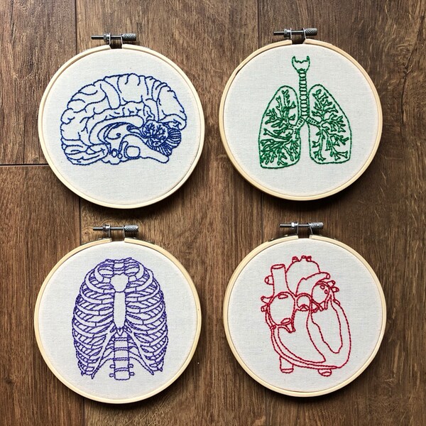 Anatomy Bundle, Embroidery PDF Patterns, Anatomy Patterns Bundle ...