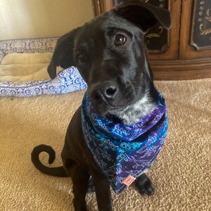 Concha Dog Squeaky Toy Concha Toy Mexican Sweet Bread Toy | Etsy