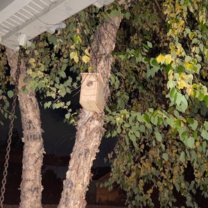Large Squirrel House, Squirrel House, Cedar Squirrel House, Squirrel ...