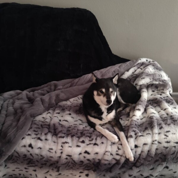 Frosted Lynx Minky Throw Blanket, Christmas Gift, Animal Print Minky ...