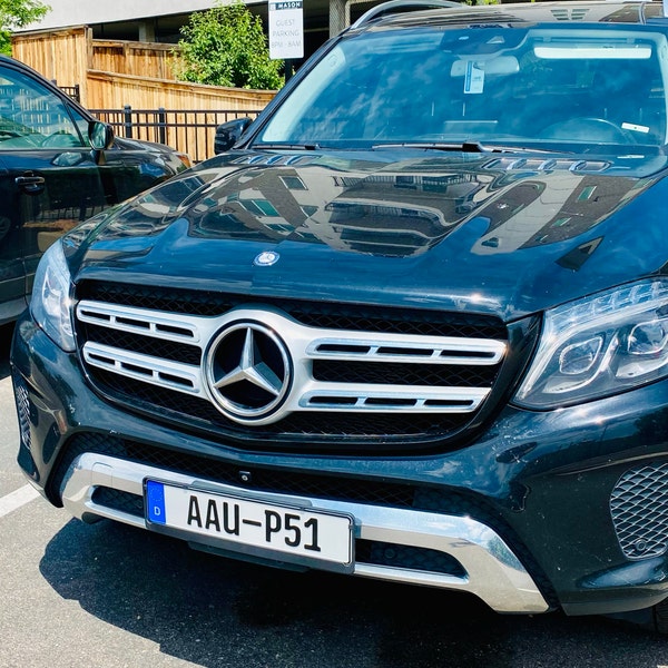 Custom European German License Plate - Etsy