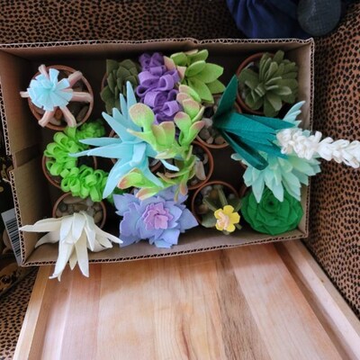 Succulent PATTERN Cutting Template 5 No-sew Felt or Paper Succulents ...