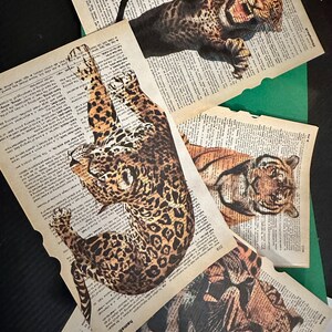 Set of 7 Cowboy Decor Dictionary Prints, Cowboy Poster, Black and White ...