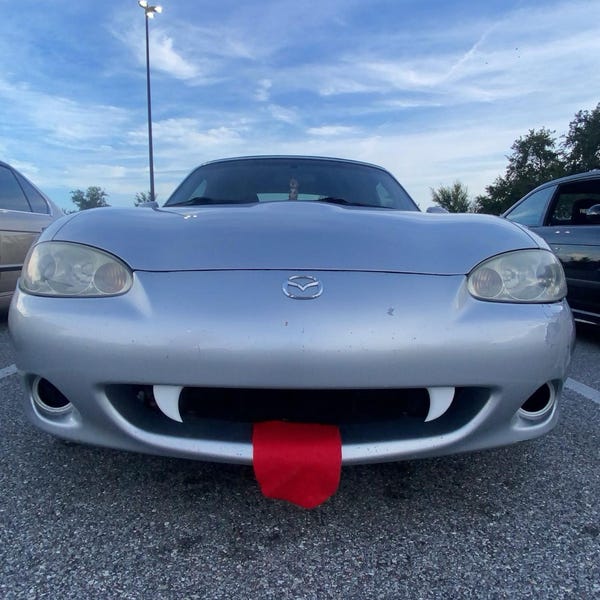 Universal Car Vampire Teeth / Bumper Fangs / Halloween Car Decoration ...
