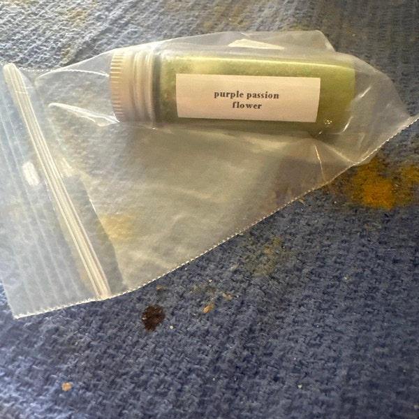 Mimosa Tree Bark (albizia Julibrissin). Mimosa Tree. Tree of Hapiness ...