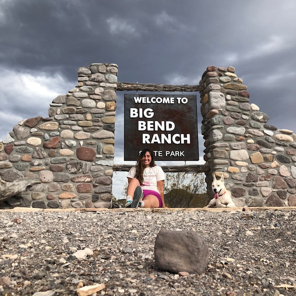 Beet Shirt, Graphic Tee, Vegetable Screen Print Shirt, Clothing Foodie ...