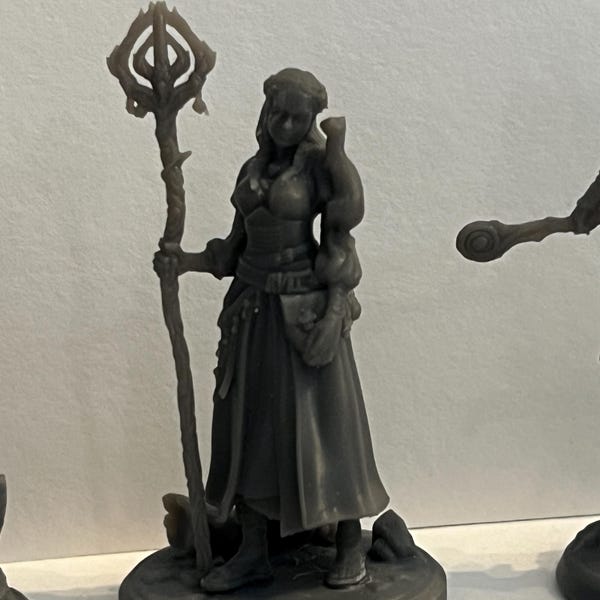 Dnd | Pathfinder | TTRPG Hero - Elowen - Female Human Druid | Ranger ...