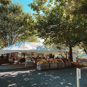 84 Christmas Desktop Folder Icons MacBook Folder Icons Mac - Etsy