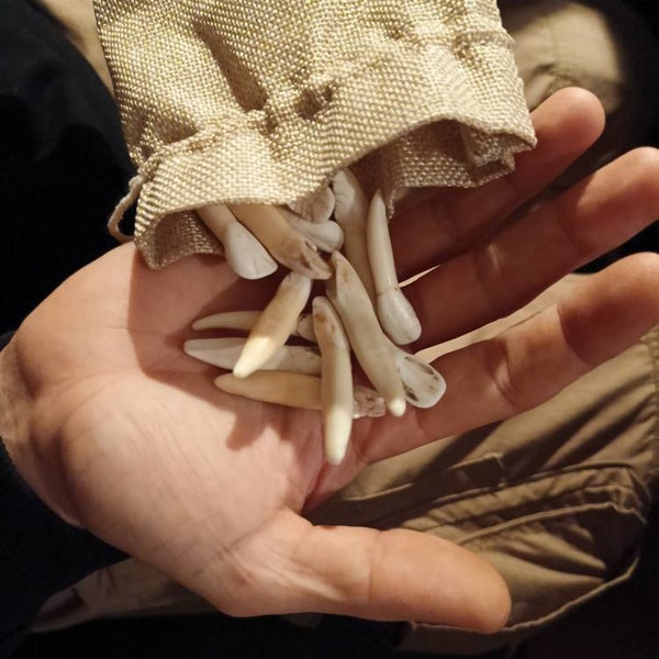 Elk Bone Inkle Weaving Shuttle – Durable, Archaic and Natural Tool - Etsy