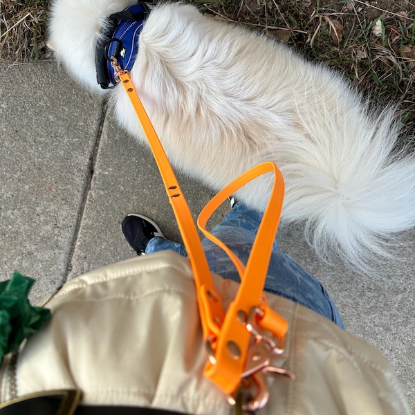 Handsfree Biothane Dog Leash, Animal Leash, Lead, Waterproof, Training ...
