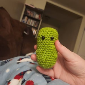 PATTERN ONLY, Easy Pickle Crochet Pattern, Instant DOWNLOAD - Etsy