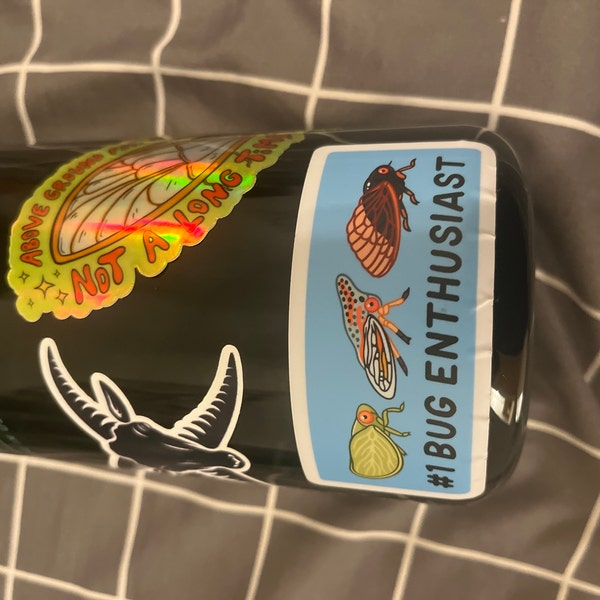 Number 1 Bug Enthusiast Sticker / Entomology / Entomologist / Bug Lover ...