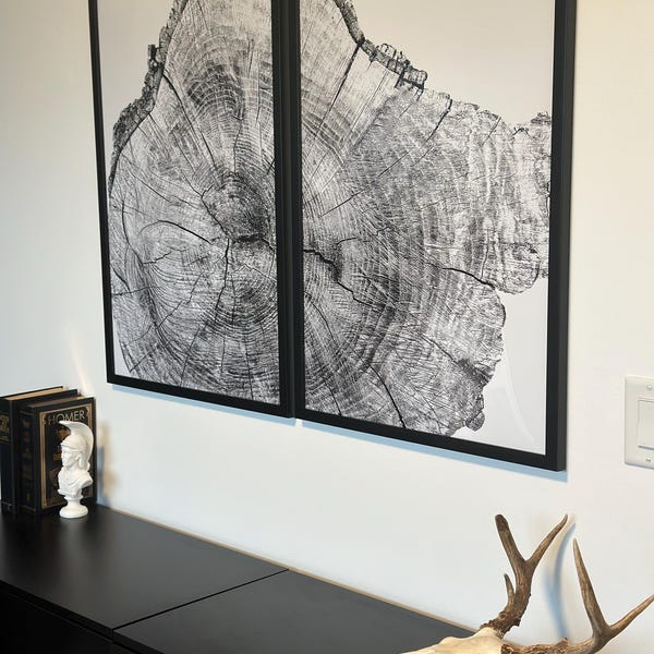 TREE RING ART Print, Tree Ring Print, Set of 6 Prints, Log Print Tree ...